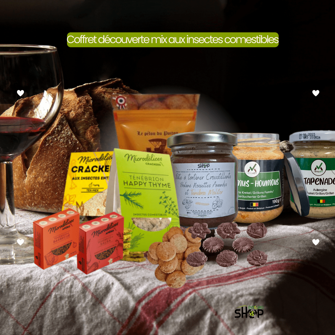 Coffret découverte mix aux insectes comestibles - Entomoshop